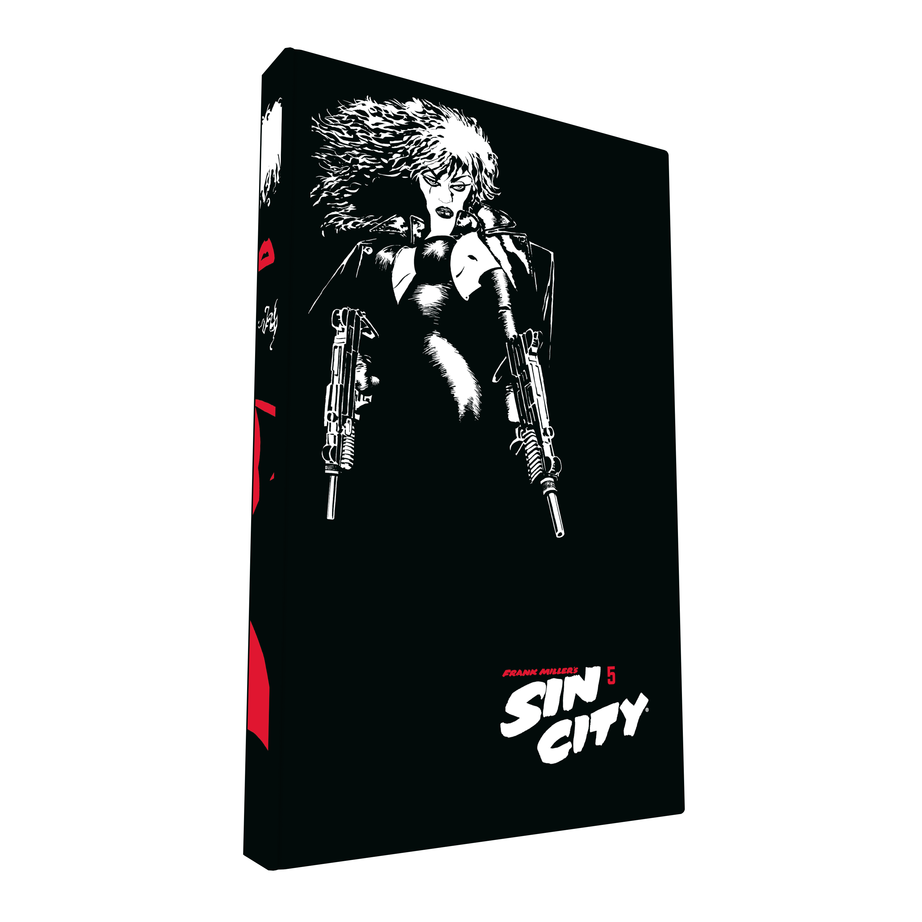 Huginn & Muninn ・ Sin City collector T5